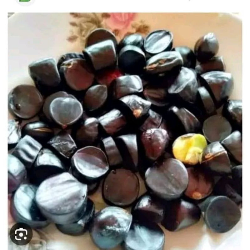 Jual jaling, kabau, kuwau berat 500g | Shopee Indonesia