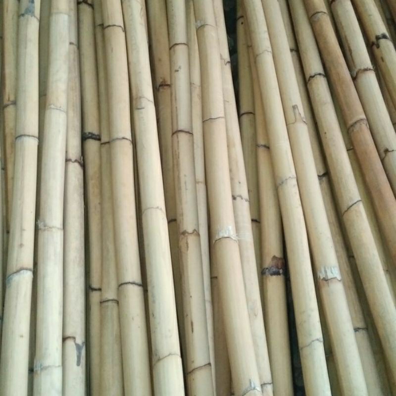 Jual Toya Rotan Kulit Manao 3Cm Panjang 3meter Harga 1 Batang kualitas ...