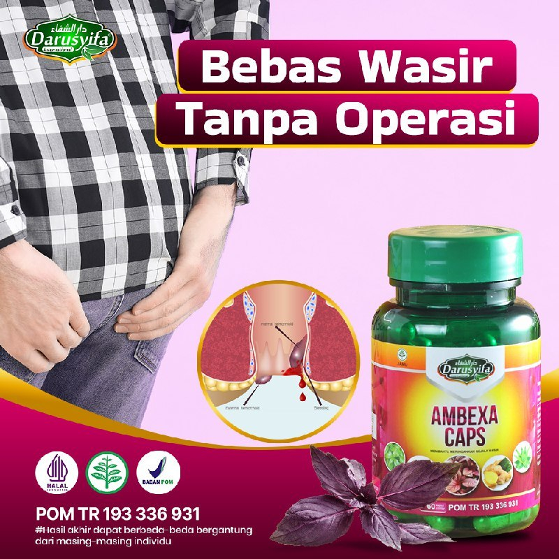 Jual TERAMPUH Kapsul Daun Ungu AMBEXA Darusyifa Redakan Ambeien & Wasir ...