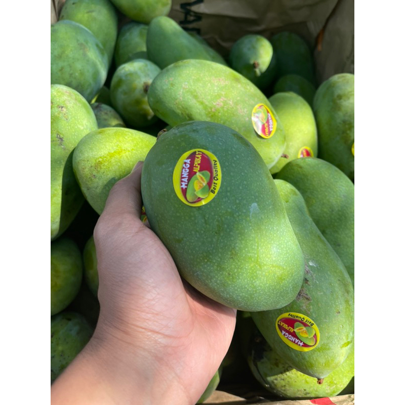 Jual Mangga Alpukat Mangga Harumanis 1kg | Shopee Indonesia