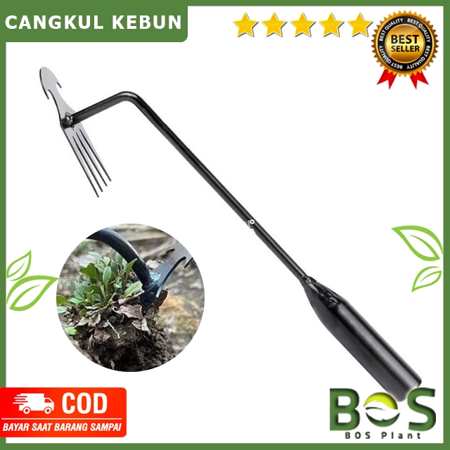 Jual Bosplant - Penyiangan Alat Pencabut Mencabut Rumput Liar di Kebun ...