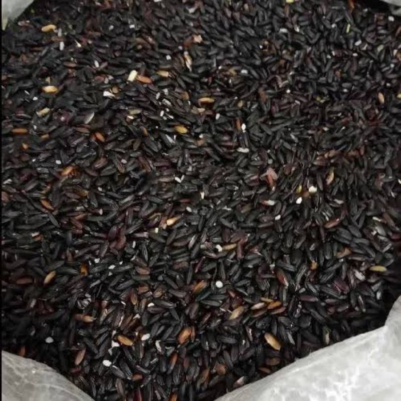 Jual BERAS KETANG HITAM | Shopee Indonesia