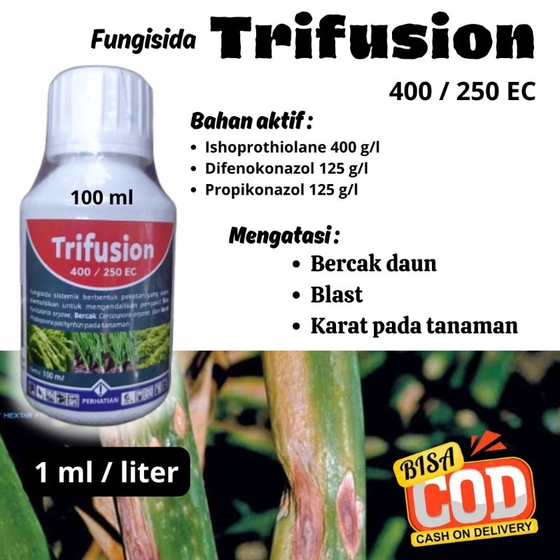 Jual Fungisida Trifusion mengatasi bercak daun, blast, karat pada ...