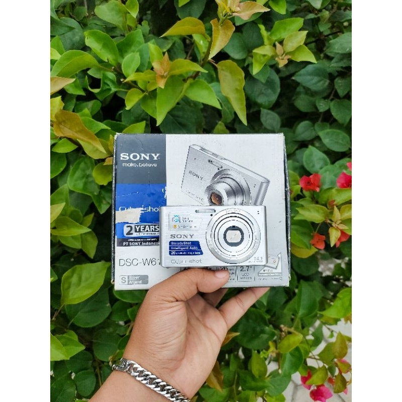 Jual DIGICAM SONY CYBERSHOT DSC-W610 SILVER FULLSET BOX | Shopee Indonesia