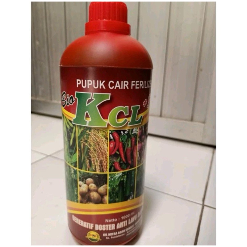 Jual Pupuk Semprot Kocor Bio KCL Plus Silika 1 Liter | Shopee Indonesia