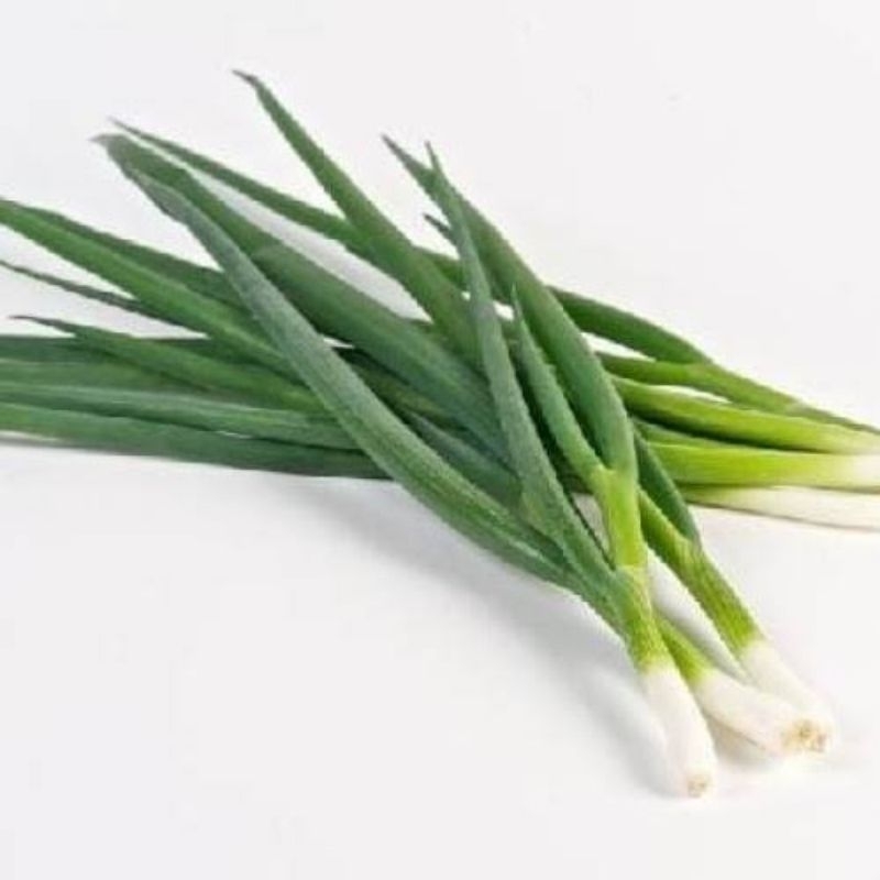 Jual Daun bawang 5 ribu | Shopee Indonesia