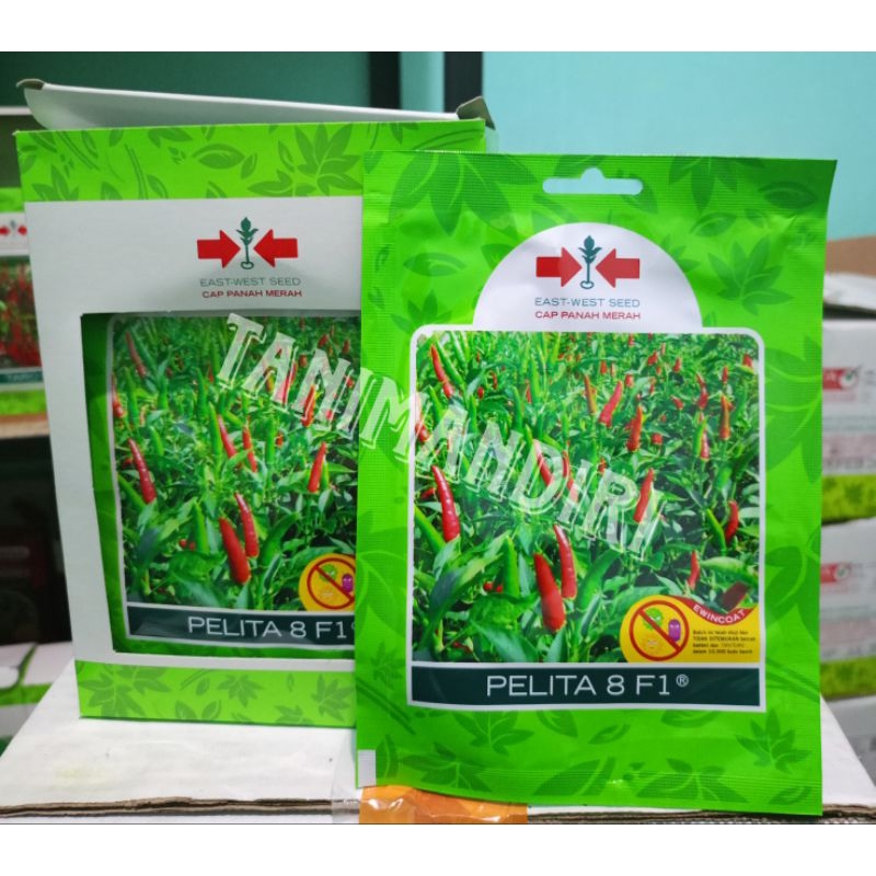Jual Benih Cabe Rawit Pelita 8 F1 isi 350 butir | Shopee Indonesia