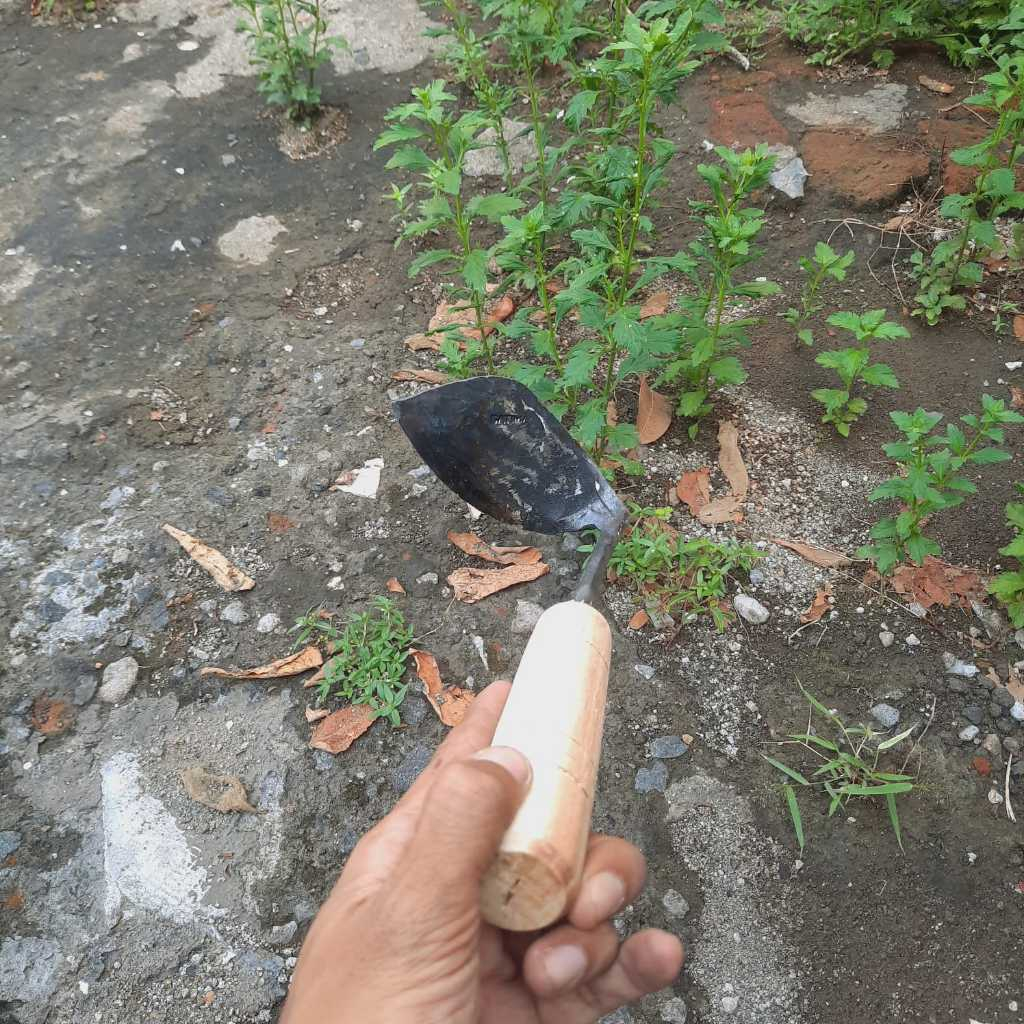 Jual Gatul Gathul Koret Cangkul Miring / Alat Pembersih Taman / Bahan ...