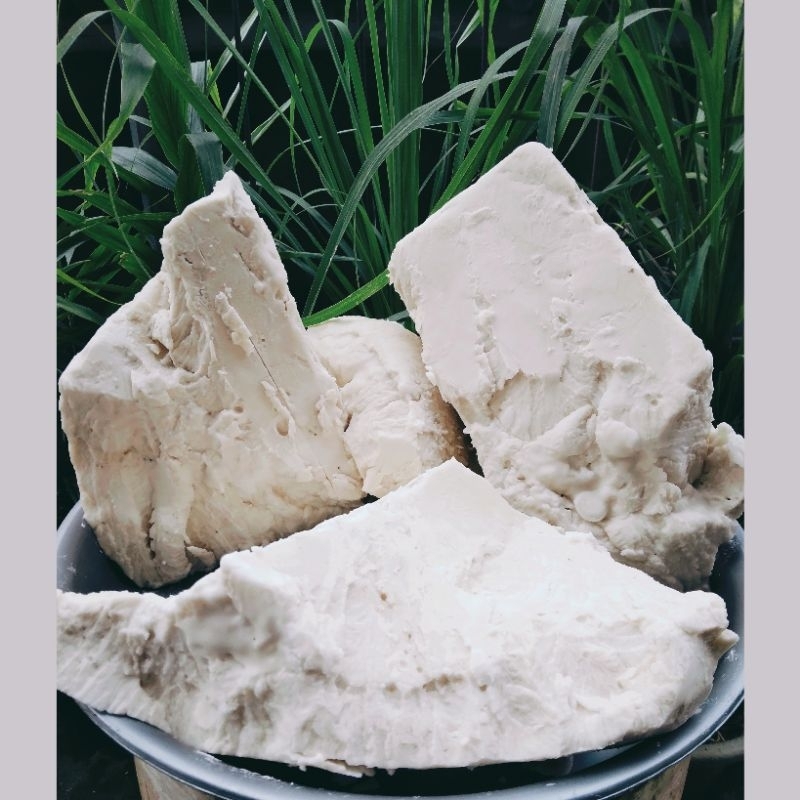 Jual Sagu basah papeda 100% Alami terbuat dari pohon sagu kemasan 1kg ...