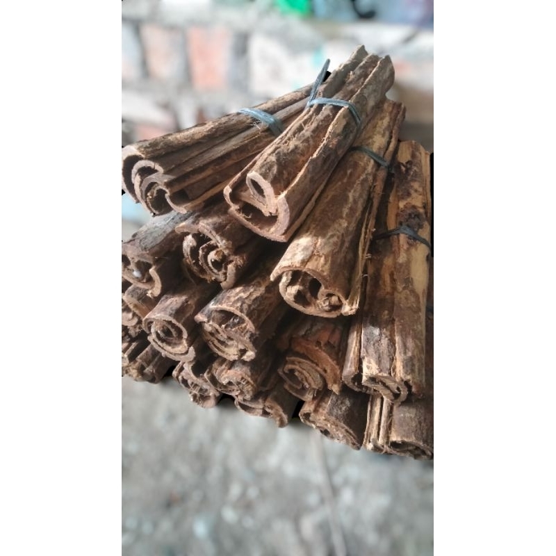 Jual kulit kayu raru. asli super udah bersih.500g | Shopee Indonesia