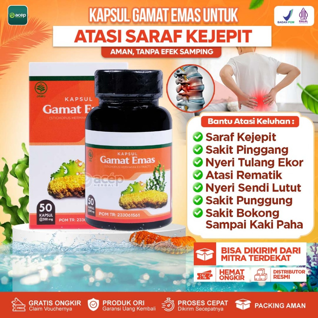 Jual Obat Saraf Kejepit Pinggang Dan Kaki Gamat Emas Mengobati Berbagai ...