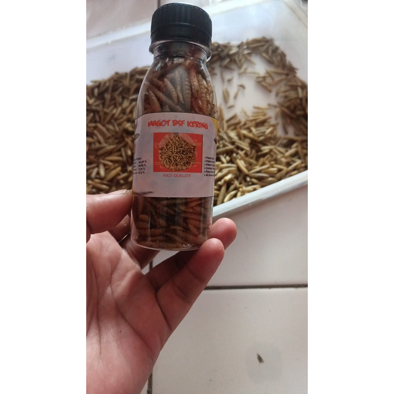Jual Maggot Kering BSF Protein Murah | Shopee Indonesia