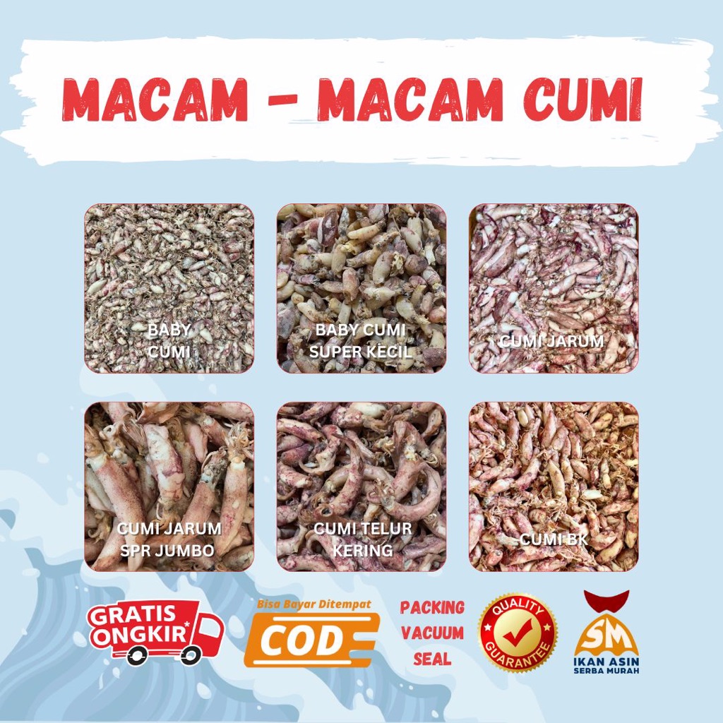 Jual Cumi Jarum | Baby Cumi | Cumi Telur | Cumi Panjang | Cumi Kering ...
