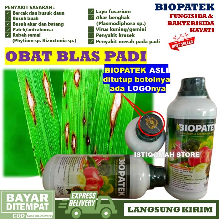 Jual BIOPATEK 500ML Fungisida Hayati Atasi Penyakit Blas pada Padi ...