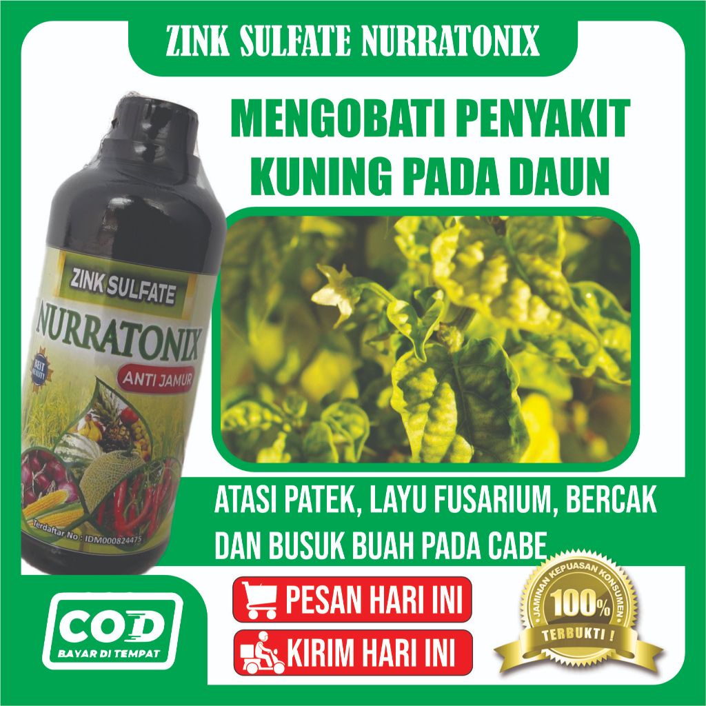 Jual Obat Virus Kuning dan Virus Keriting Pada Daun Cabe, Tomat dll ...