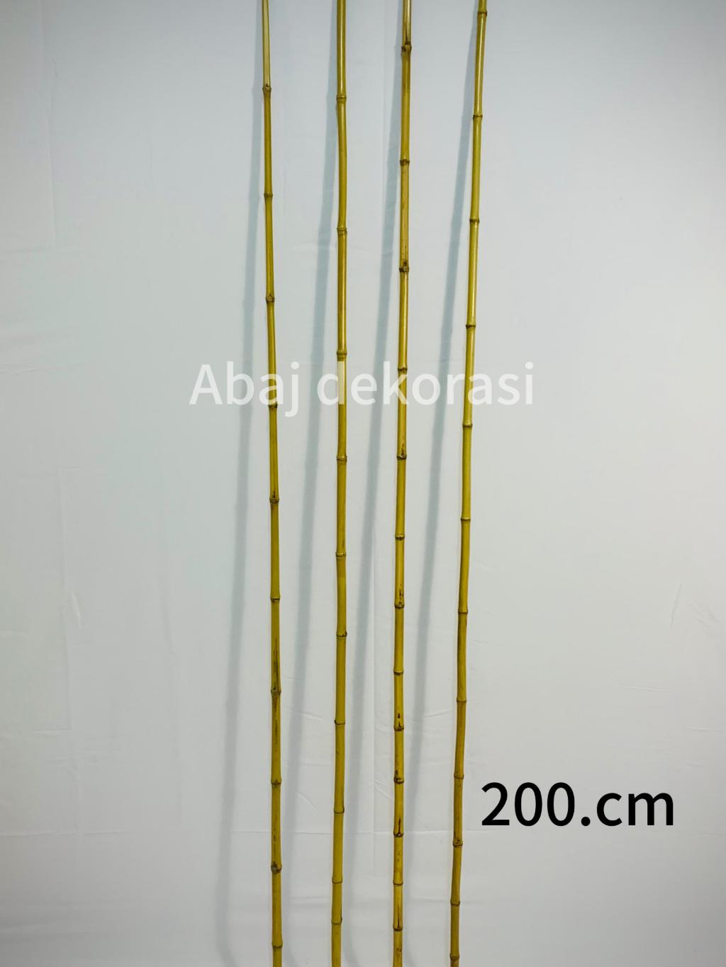 Jual (1PCS) Batang Bambu 2M diameter kecil/Bambu Partisi Bambu kuning ...