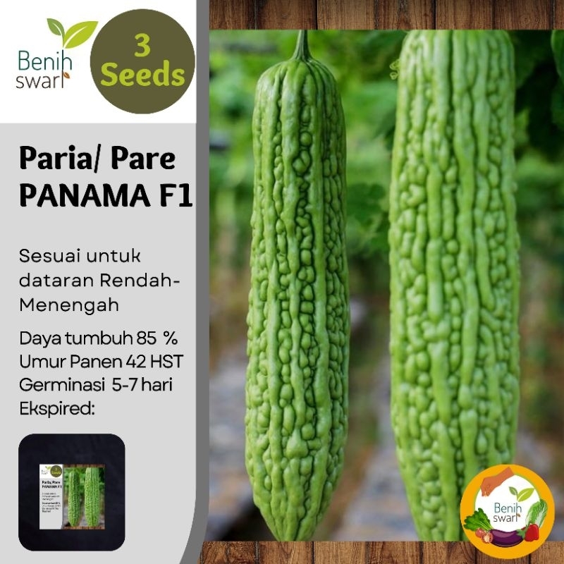 Jual Benih Swari: (isi 3 butir) Benih Paria / Pare PANAMA F1 | Shopee ...