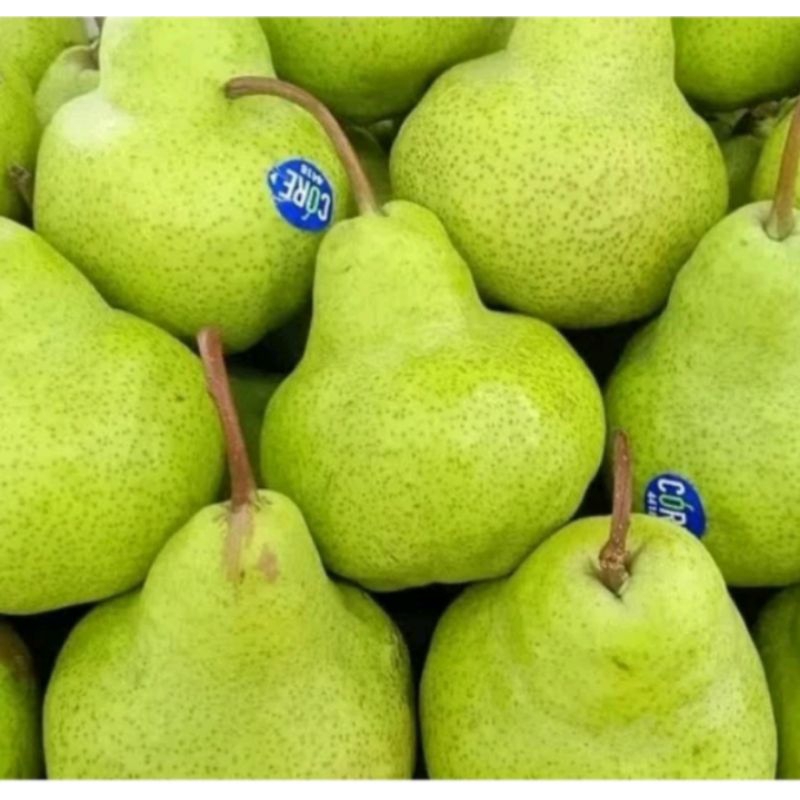 Jual INSTAN PEAR Hijau PACKHAM segar 1 kg | Shopee Indonesia