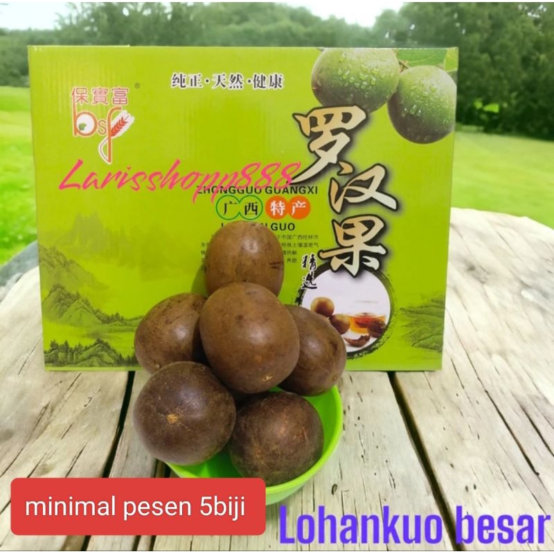 Jual buah lohankuo besar / Lo Han kuo jumbo / lohankuo LS | Shopee ...