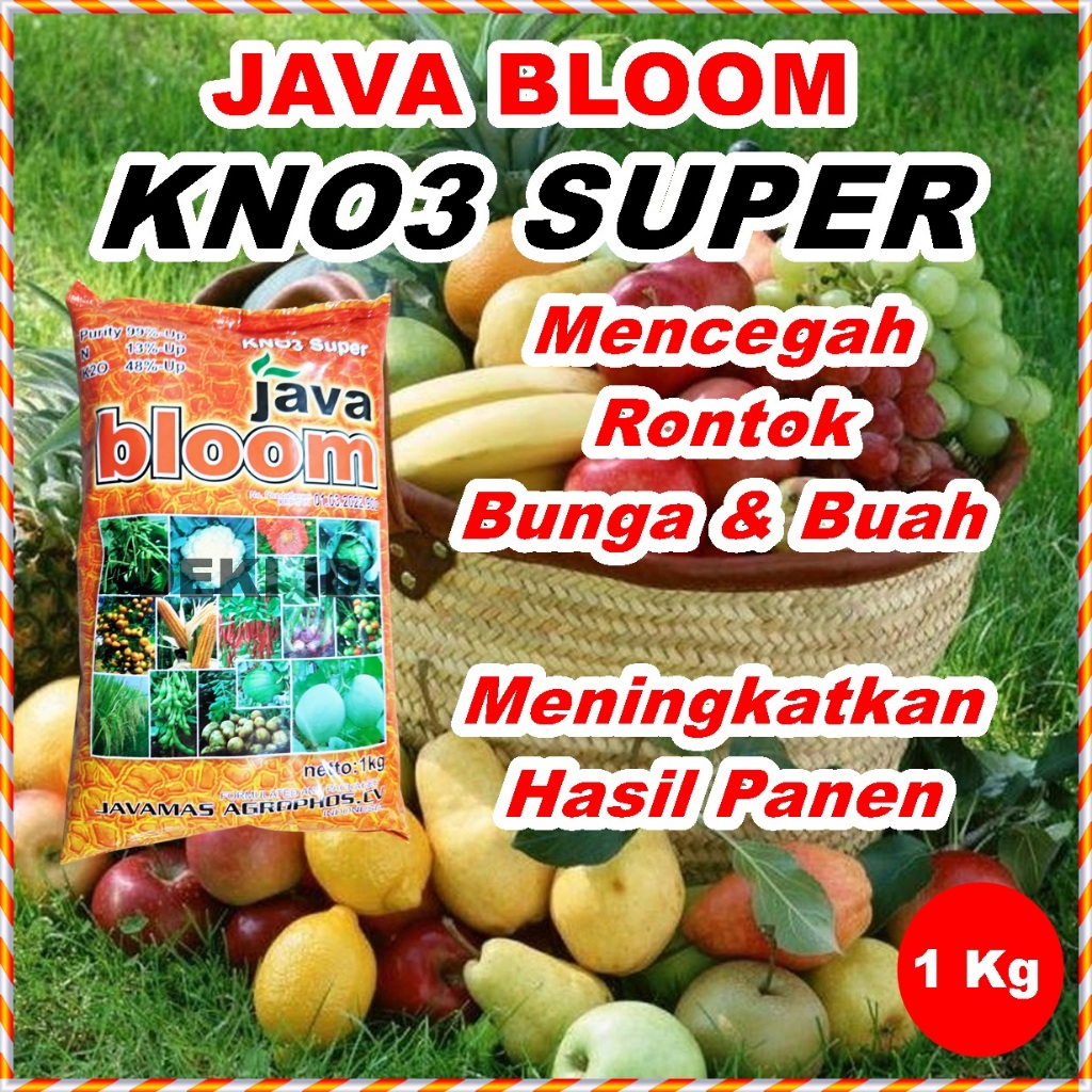 Jual Java Bloom 1 Kg Pupuk KNO3 Super Nutrisi Pembuahan Kemasan Pabrik Javamas | Shopee Indonesia