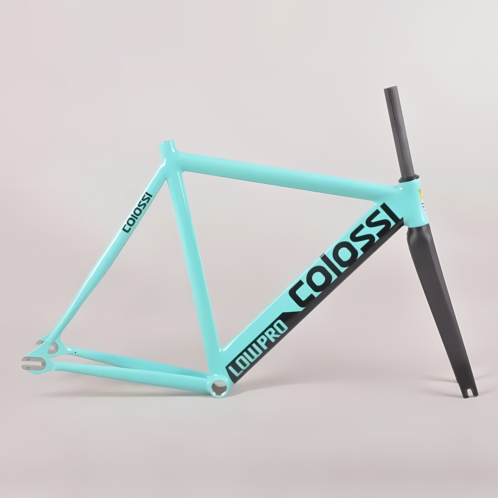 Colossi bike store