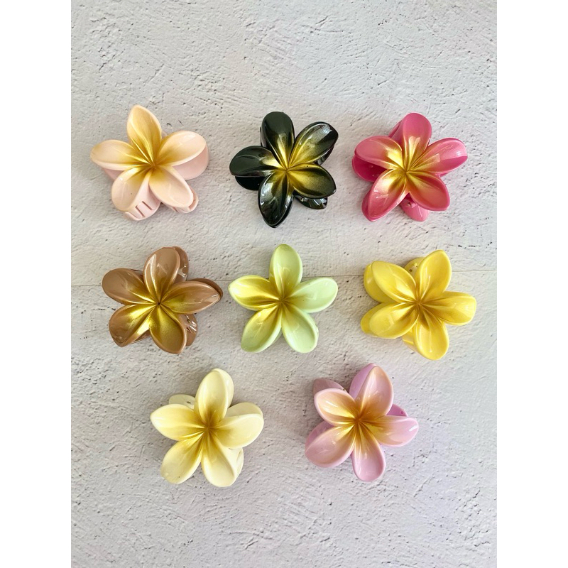 Jual Jedai Jumbo Bunga Bali Kamboja Jepit Rambut Wanita Uk 8cm | Shopee ...