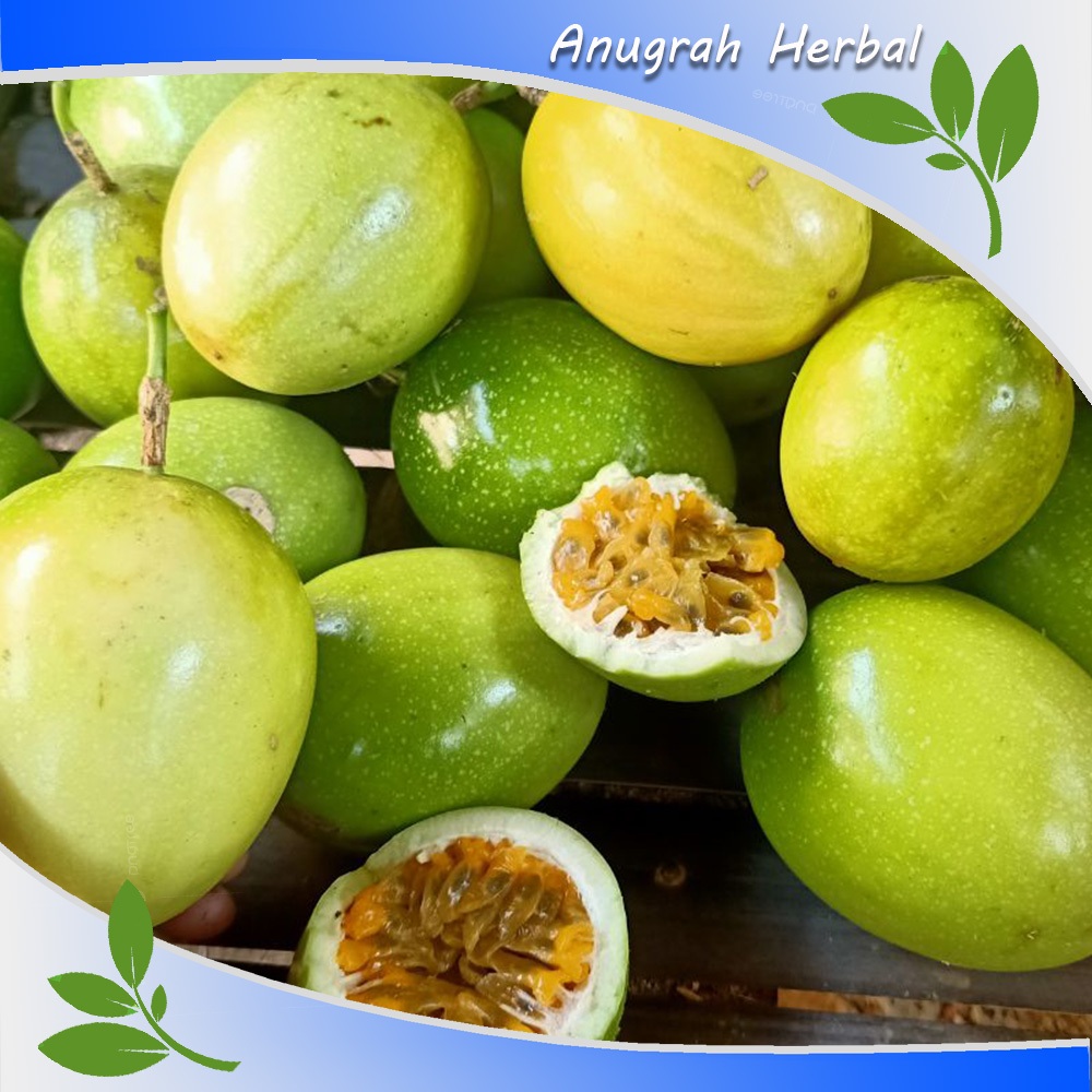 Jual Buah Markisa Segar 1 kg - Markisa Kuning Matang | Shopee Indonesia