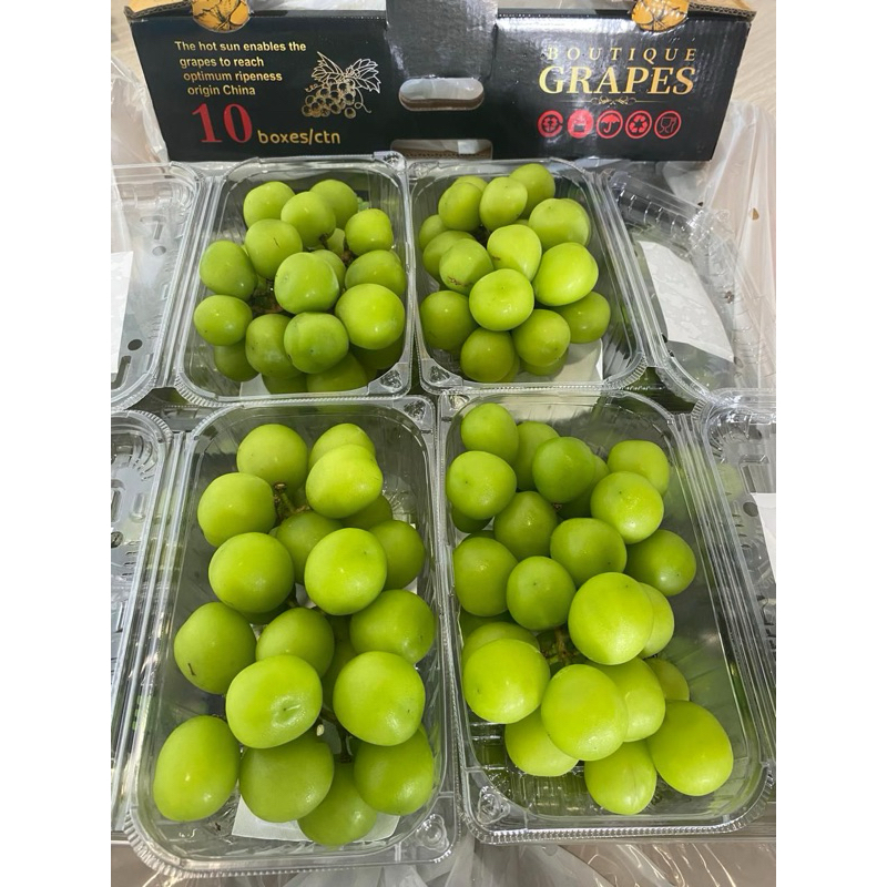 Jual Anggur Muscat Pack | Shopee Indonesia