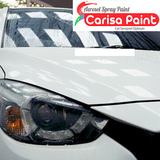 Jual Cat Semprot Mobil Duco Custom Cat Spray Mobil Aerosol Custom ...