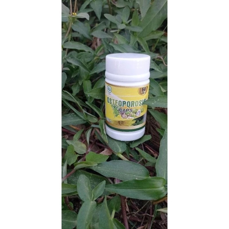 Jual Osteo Porosis Herbal Osteo 60 Kapsul | Shopee Indonesia