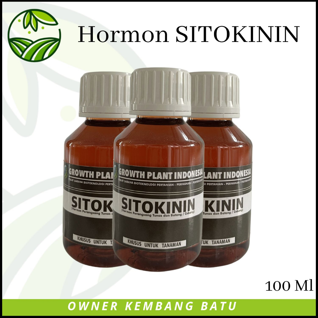 Jual ZPT Hormon SITOKININ Percepat Perumbuhan Batang Dan Daun | Shopee ...