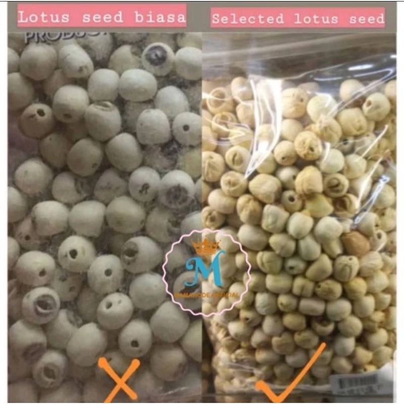 Jual LOTUS SEED / BIJI TERATAI GRADE AAA 500gr | Shopee Indonesia