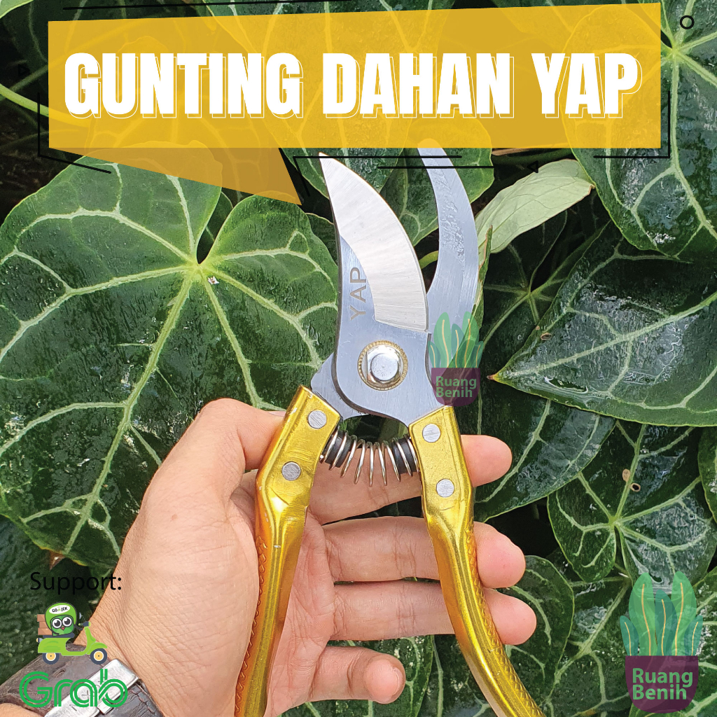 Jual GUNTING TANAMAN HIAS YAP TAJAM STAINLES ALAT POTONG DAHAN RANTING ...
