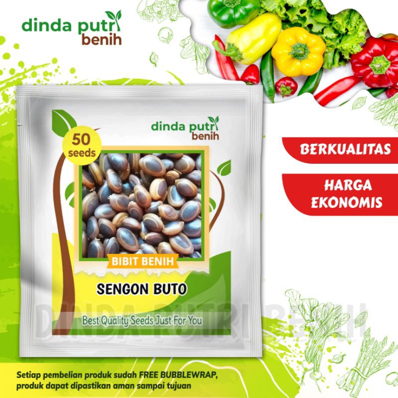 Jual Benih Sengon Buto Super (Enterolobium Cyclocarpum) isi benih ...