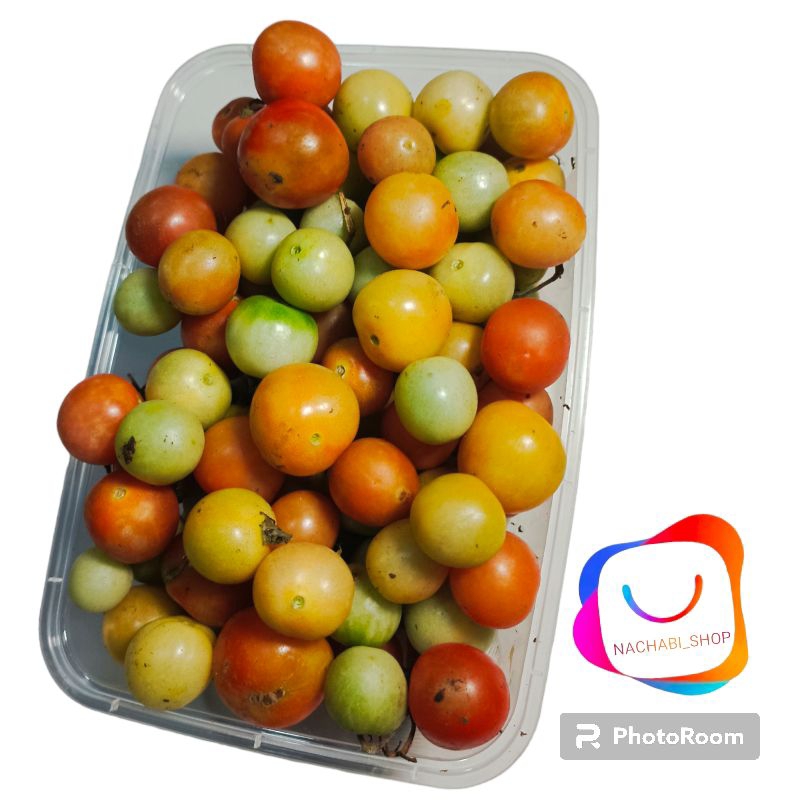 Jual rampai lampung 500gram (standar packing menggunakan tinwall ...