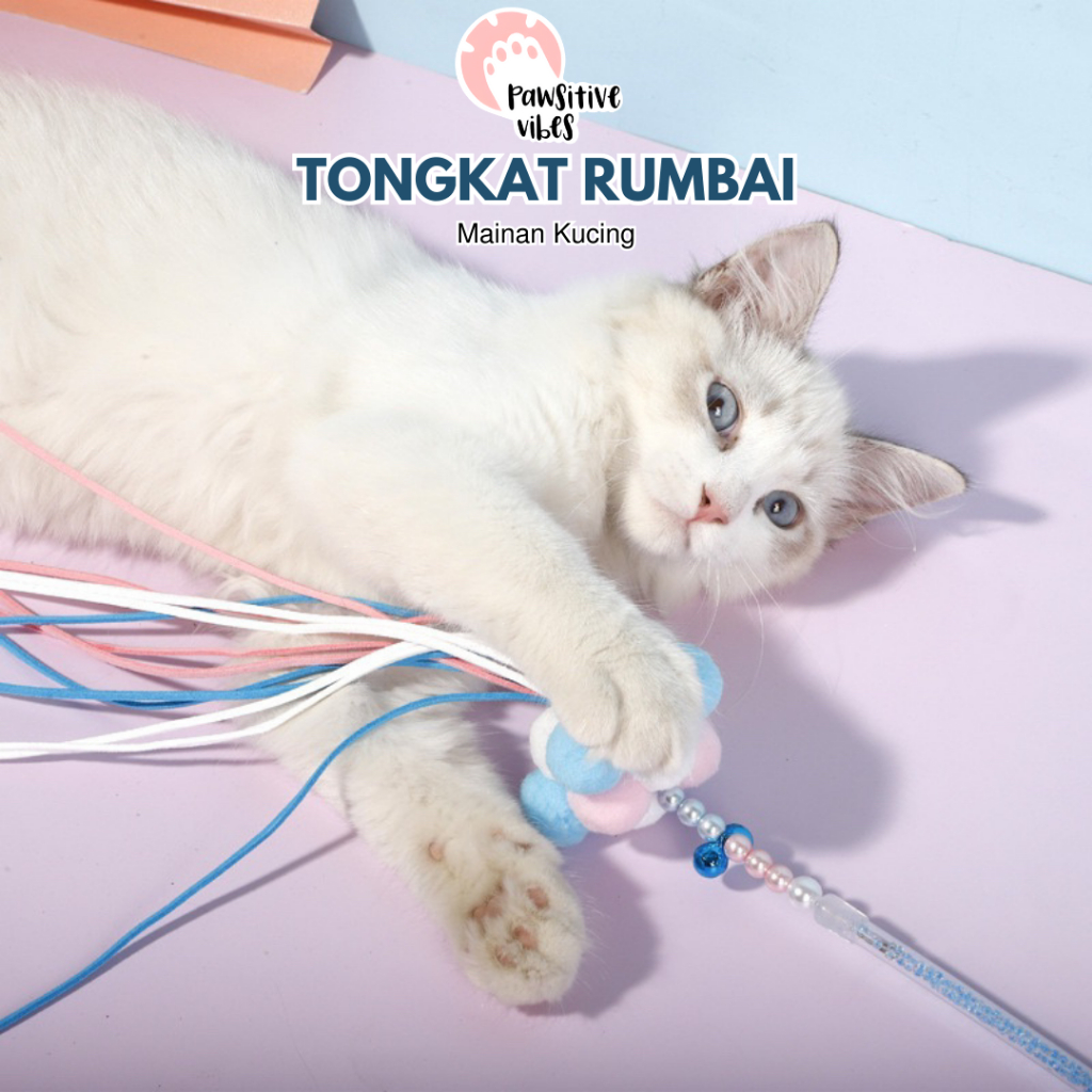 Jual Cat Teaser Glitter - Tongkat Mainan Kucing Rumbai - Mainan Kucing ... Jual Cat Teaser Glitter - Tongkat Mainan Kucing Rumbai - Mainan Kucing ...