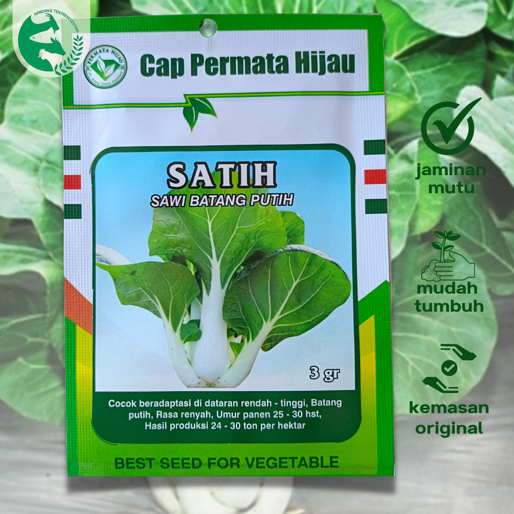 Jual Benih Biji Sawi Batang Putih SATIH 3 gr Sawi Daging Kemasan Ori ...