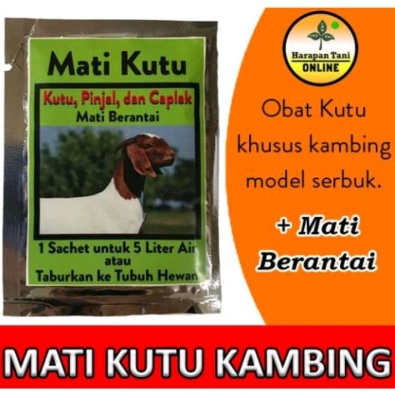 Jual Mati Kutu Kambing | Obat Kutu | Kutu Kambing | Obat Kutu Bubuk ...