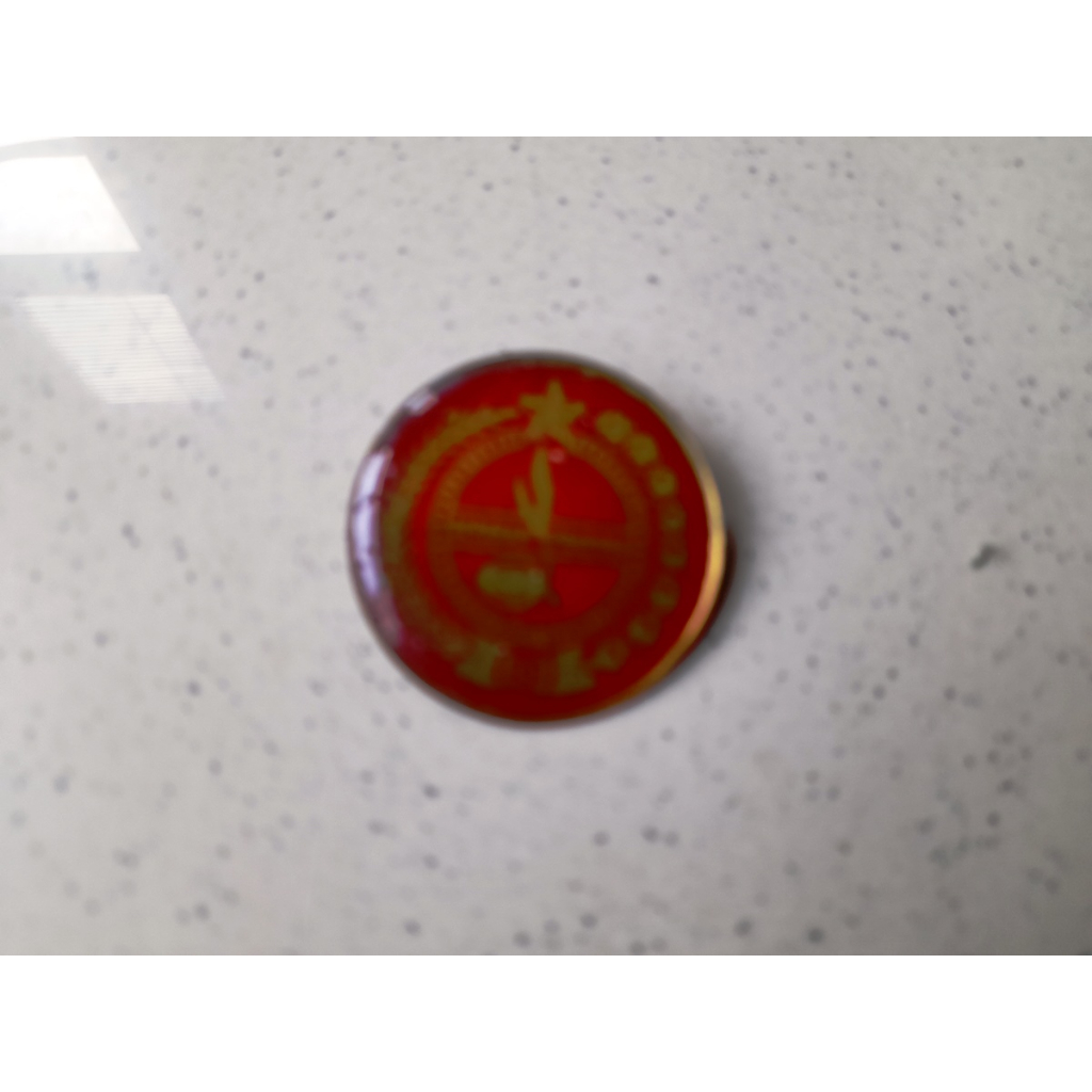 Jual Pin Akrilik Topi Tatop Baret Pramuka Siaga Penggalang Penegak ...