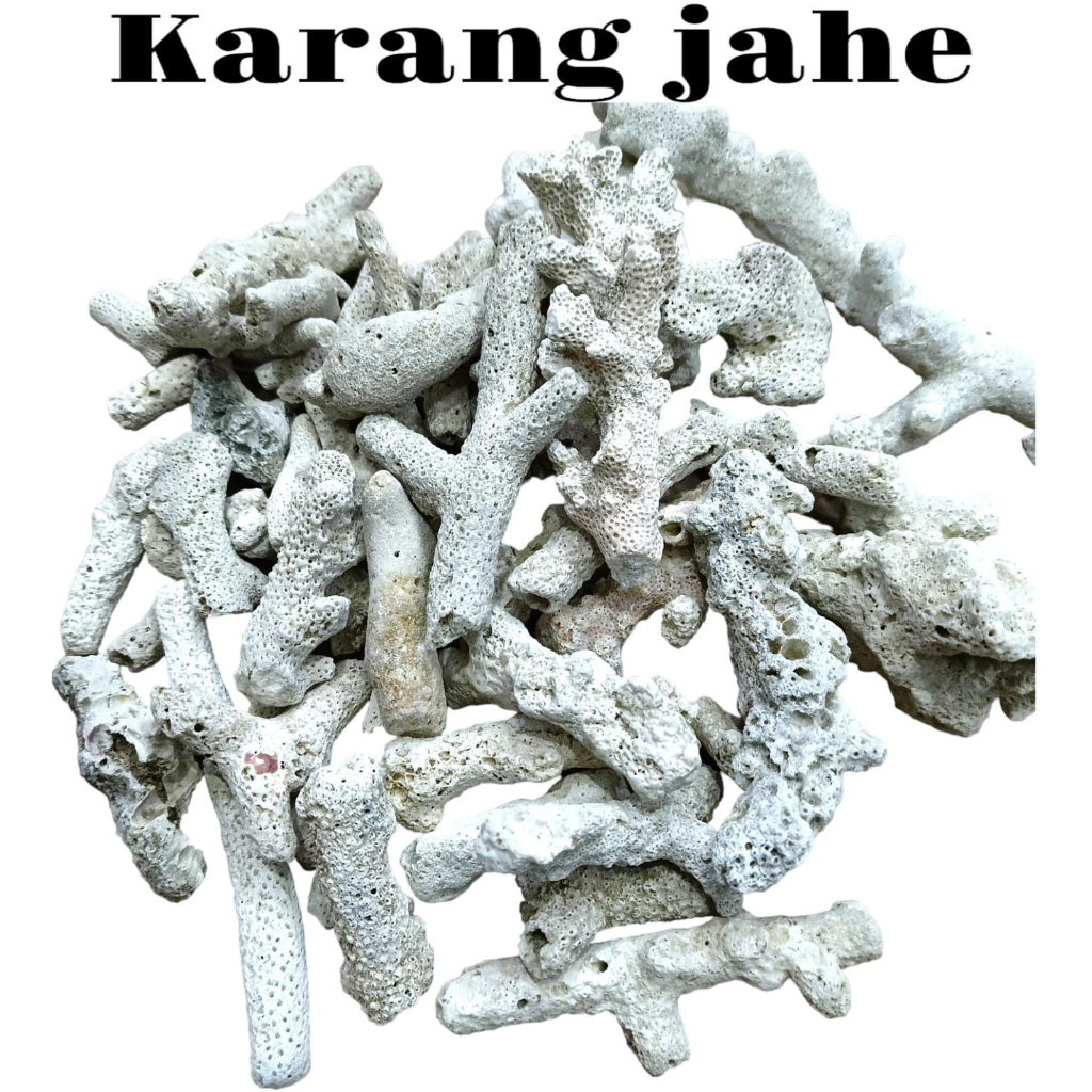 Jual MEDIA FILTER KARANG JAHE PENURUN PH AIR AQUARIUM KOLAM KOI ...