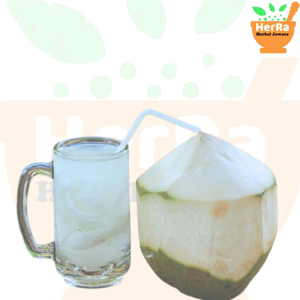 Jual BUAH KELAPA MUDA DEUGAN MURNI SEGAR SEHAT | Shopee Indonesia