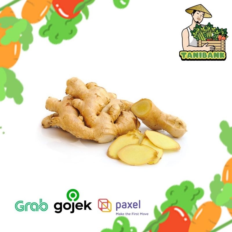 Jual Jahe kuning | Shopee Indonesia