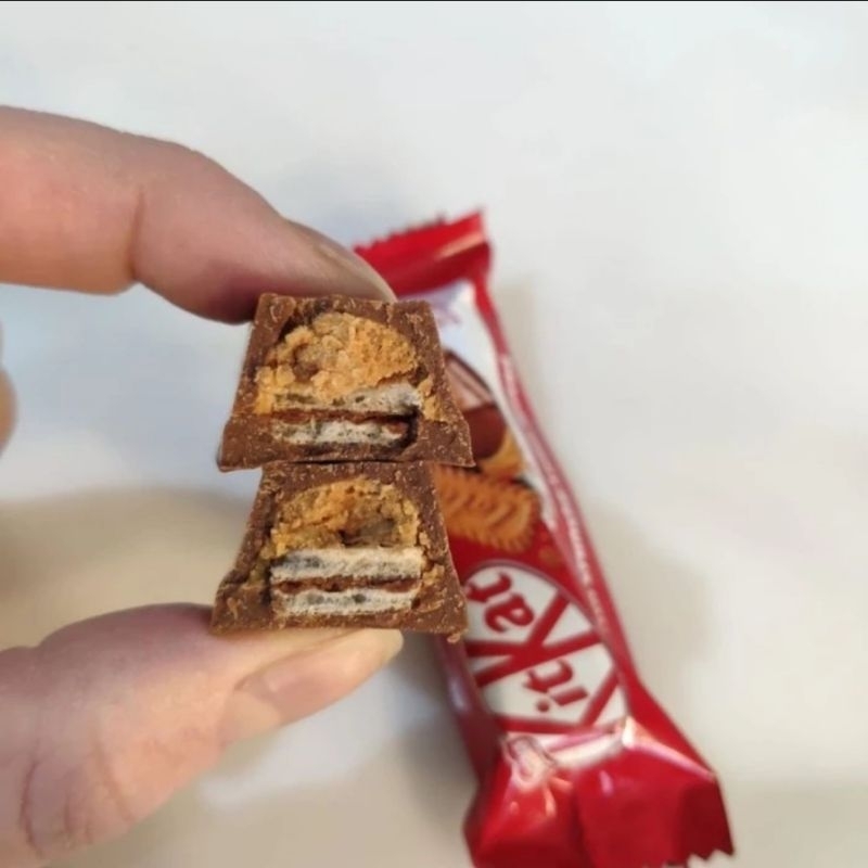 Jual Kitkat Lotus Biscoff Kit Kat Mini Moments Limited Edition Snack ...