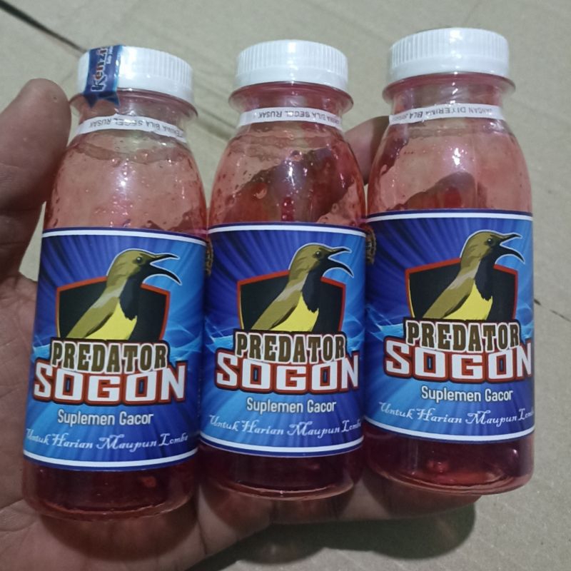 Jual PREDATOR SOGON MULTIVITAMIN SUPLEMEN BURUNG SOGON JUARA DOPING ...