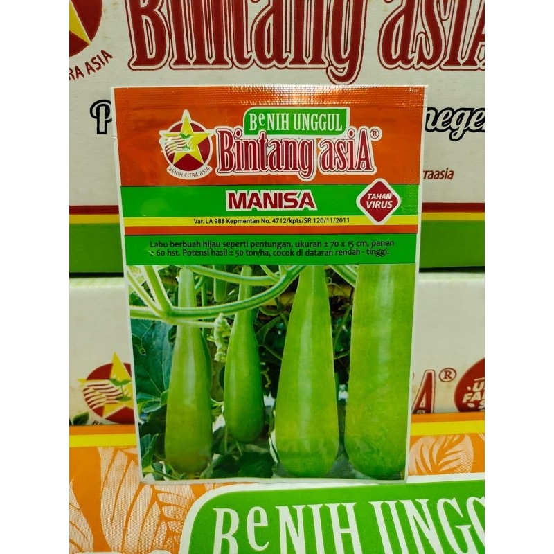 Jual Benih Labu Air MANISA 10gram ( Bintang Asia) | Shopee Indonesia