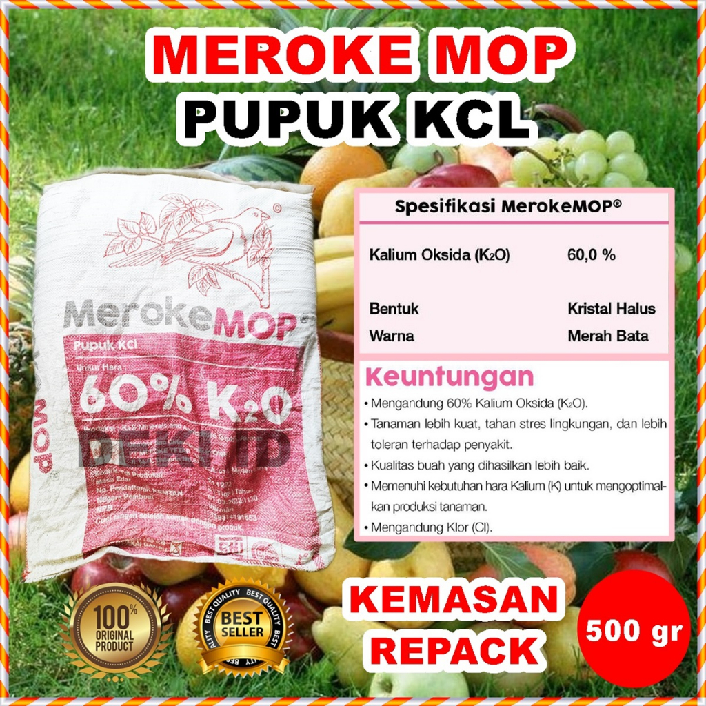 Jual KCL MOP Meroke 500 Gr Kemasan Repack Pupuk Kalium Tinggi Tanaman ...