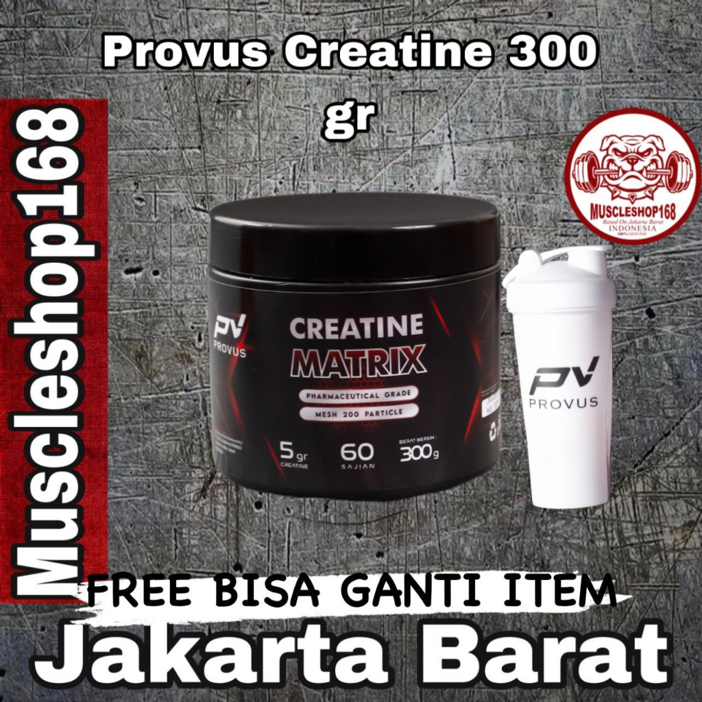 Jual Provus Creatine Matrix 300 Gram ( 60 Serving ) | Shopee Indonesia