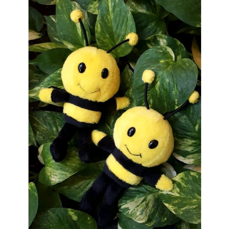 Jual Boneka Sweet Bee | Shopee Indonesia