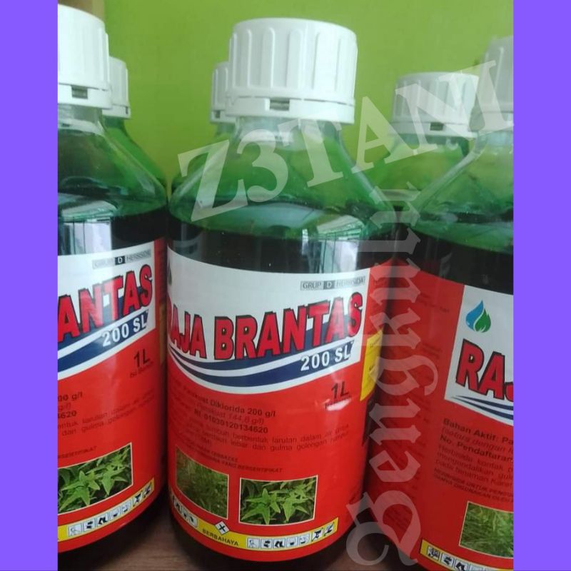 Jual RAJA BRANTAS 200sl 1L Herbisida Rumput Pabrikan | Shopee Indonesia