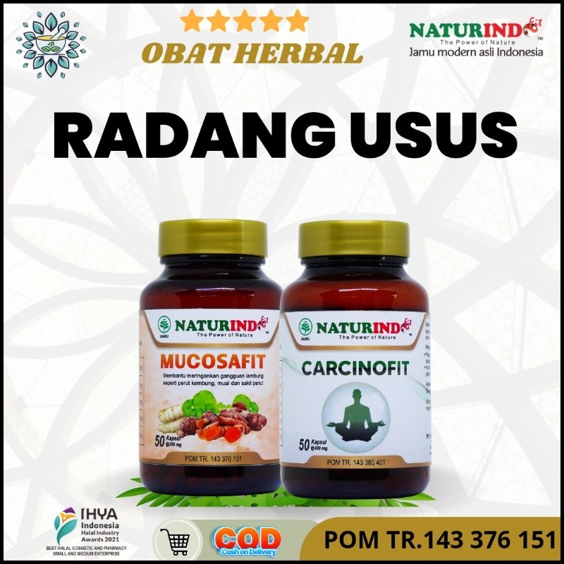 Jual Obat Gangguan Pencernaan Perut Sebah Detox Detoks Usus Kotor ...